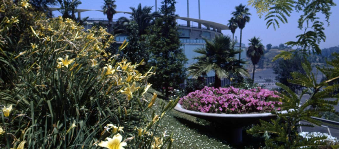 Walter O’Malley and his Landscape for Dodger Stadium | Walter O’Malley ...